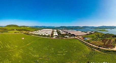 Khám phá 'nhà máy xanh' TH true MILK: Từ đồng cỏ xanh đến ly sữa sạch