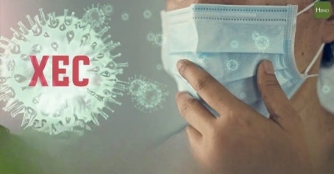 Điều gì xảy ra khi nhiễm biến thể Covid-19 XEC?