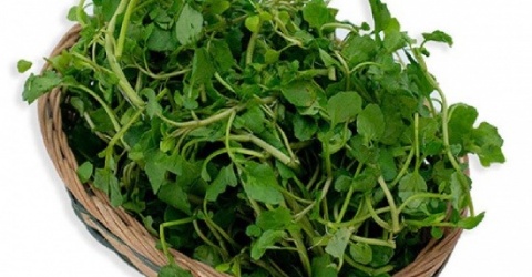 2 loại rau dễ là nơi "tổ ký sinh trùng" ẩn náu, nhất là cái số 1